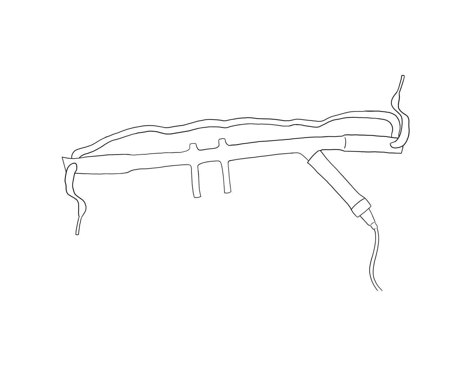 SAM Testing Instructions – Snap Diagnostics, LLC